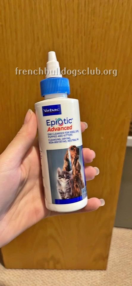 Best Ear Cleaners For French Bulldogs - Just HEALTHIER Frenchies!